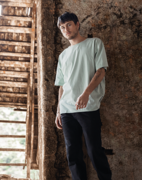 BASICA MENTA | 88 Studios